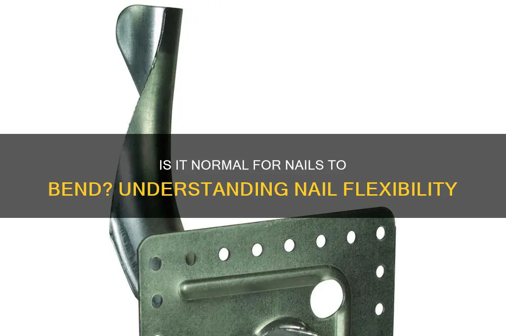 Is It Normal For Nails To Bend? Understanding Nail Flexibility | Nailicy