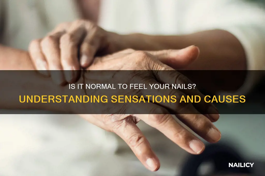 Is It Normal To Feel Your Nails? Understanding Sensations And Causes ...
