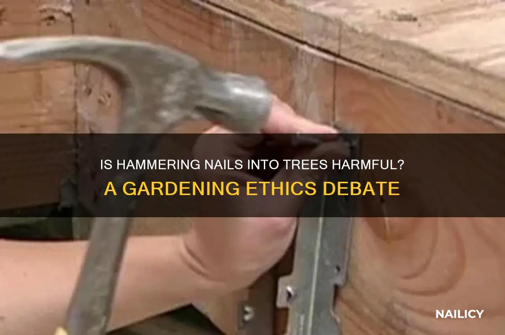 Is Hammering Nails Into Trees Harmful? A Gardening Ethics Debate | Nailicy