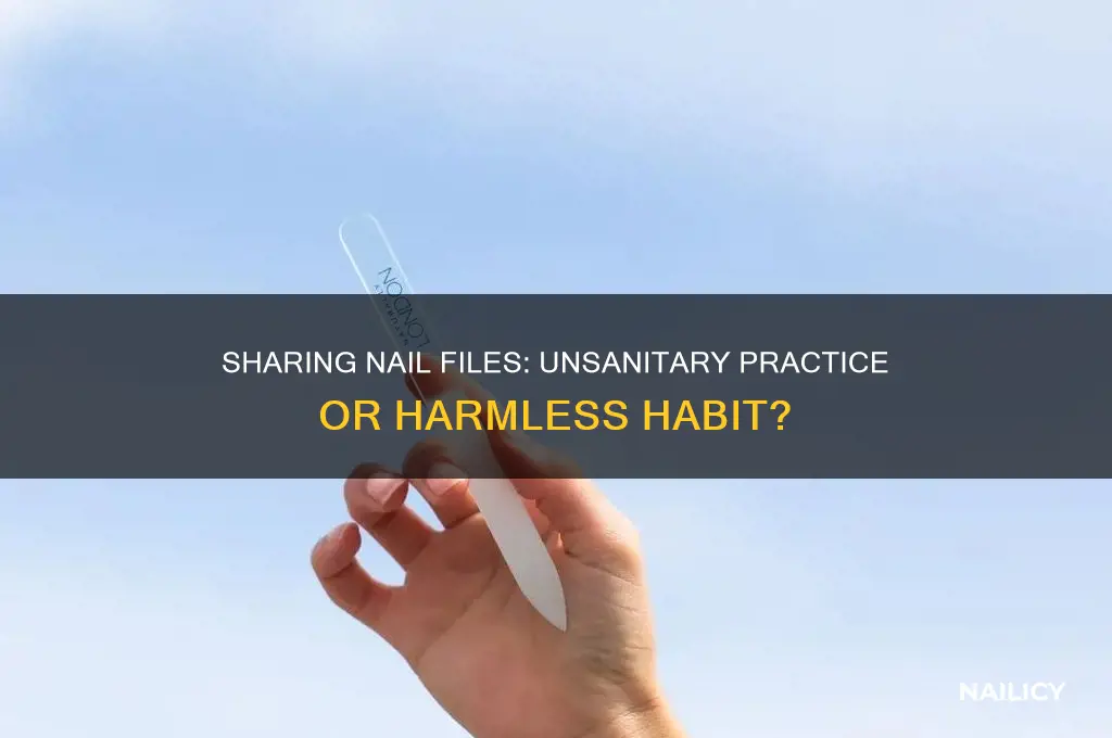 Sharing Nail Files: Unsanitary Practice Or Harmless Habit? | Nailicy