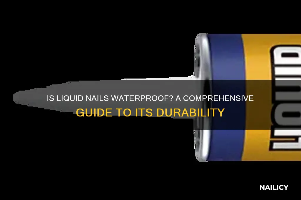 Is Liquid Nails Waterproof? A Comprehensive Guide To Its Durability ...