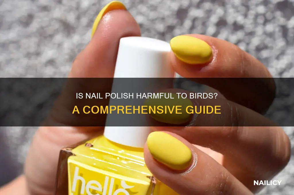 Is Nail Polish Harmful To Birds? A Comprehensive Guide | Nailicy