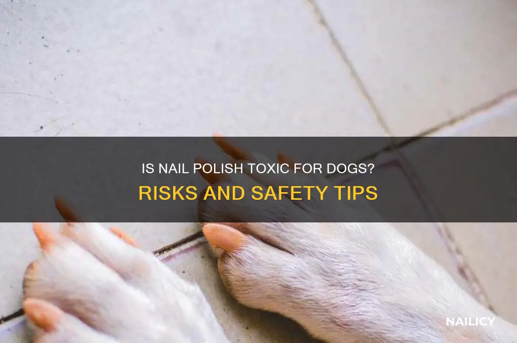 Is Nail Polish Toxic For Dogs? Risks And Safety Tips | Nailicy