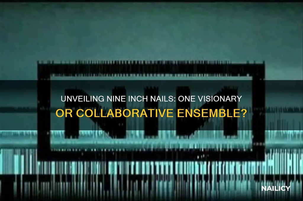 Unveiling Nine Inch Nails: One Visionary Or Collaborative Ensemble ...