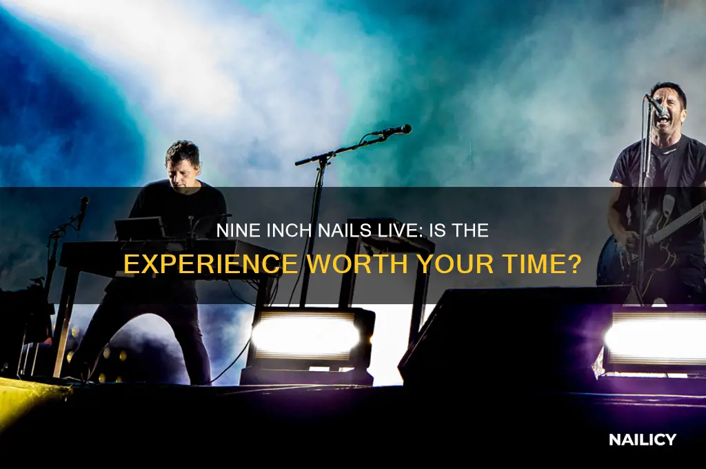 Nine Inch Nails Live: Is The Experience Worth Your Time? | Nailicy