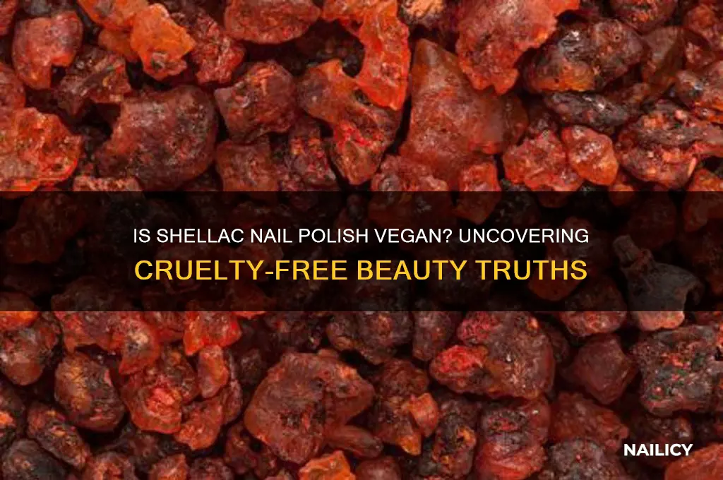 Is Shellac Nail Polish Vegan? Uncovering Cruelty-Free Beauty Truths ...