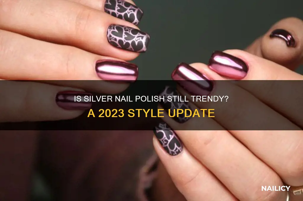 Is Silver Nail Polish Still Trendy? A 2023 Style Update | Nailicy