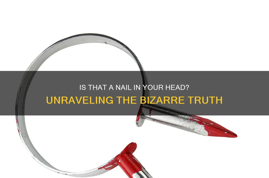 Is That A Nail In Your Head? Unraveling The Bizarre Truth | Nailicy