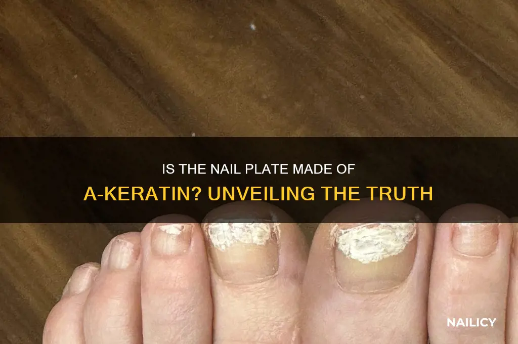 Is The Nail Plate Made Of A-Keratin? Unveiling The Truth | Nailicy