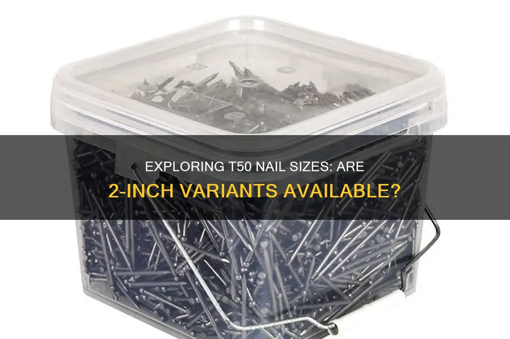 Exploring T50 Nail Sizes: Are 2-Inch Variants Available? | Nailicy