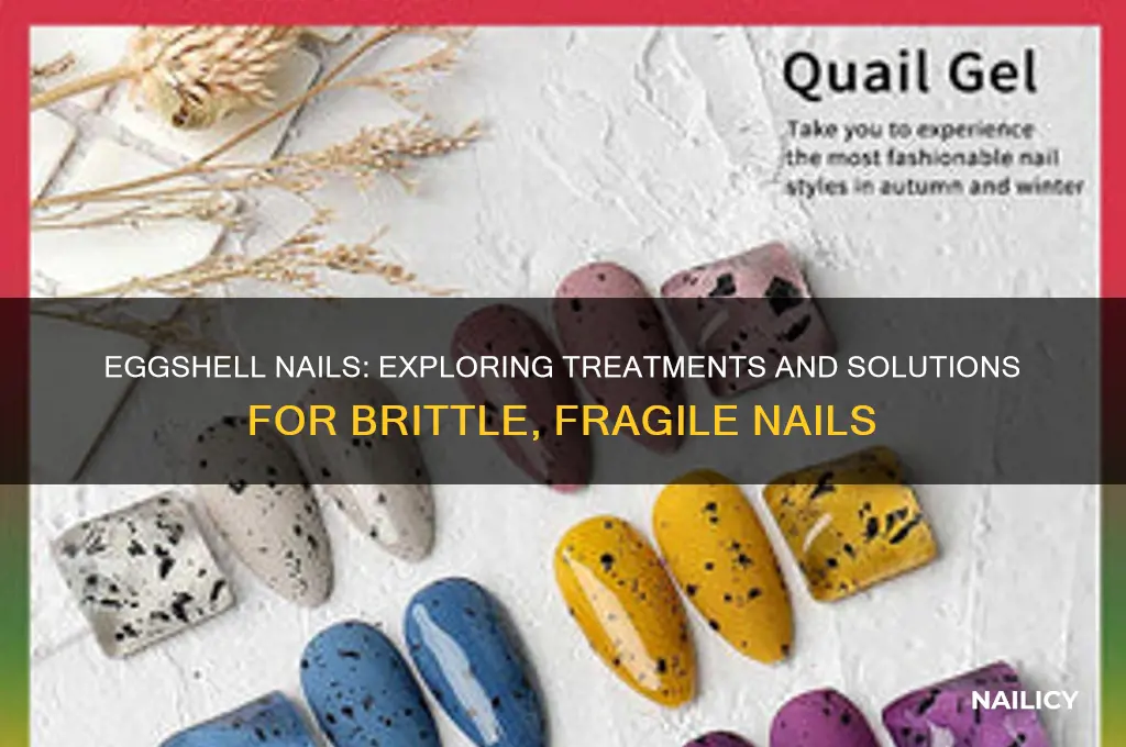 Eggshell Nails: Exploring Treatments And Solutions For Brittle, Fragile ...