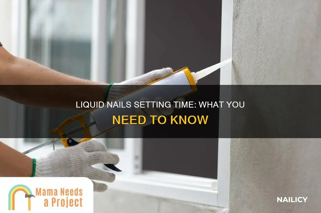 Liquid Nails Setting Time: What You Need To Know | Nailicy
