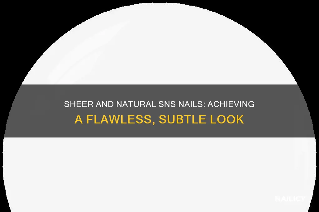 Sheer And Natural Sns Nails: Achieving A Flawless, Subtle Look | Nailicy