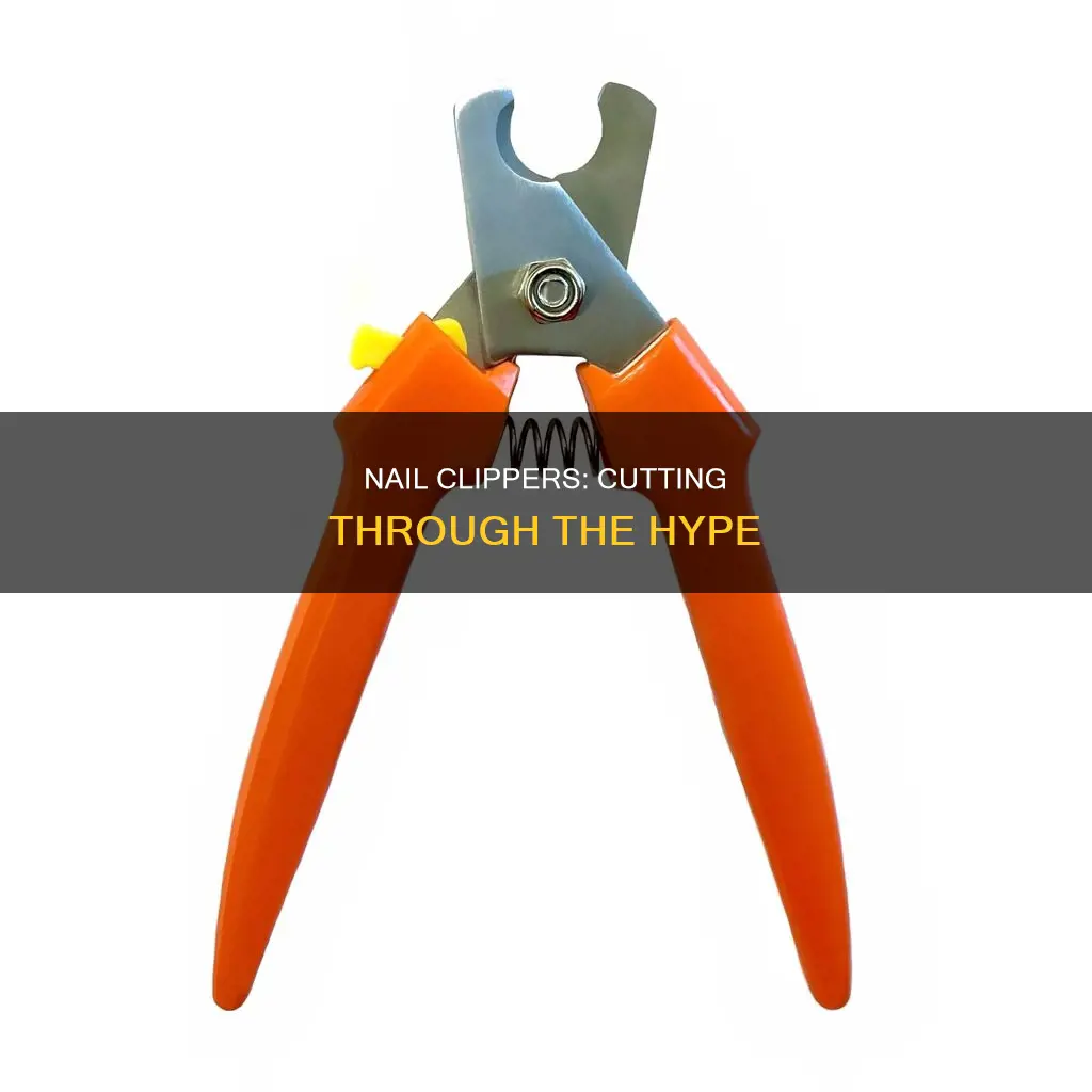 Nail Clippers: Cutting Through The Hype | Nailicy