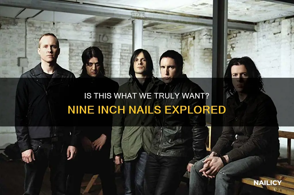 Is This What We Truly Want? Nine Inch Nails Explored | Nailicy