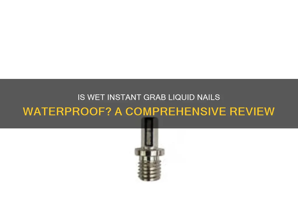 Is Wet Instant Grab Liquid Nails Waterproof? A Comprehensive Review ...