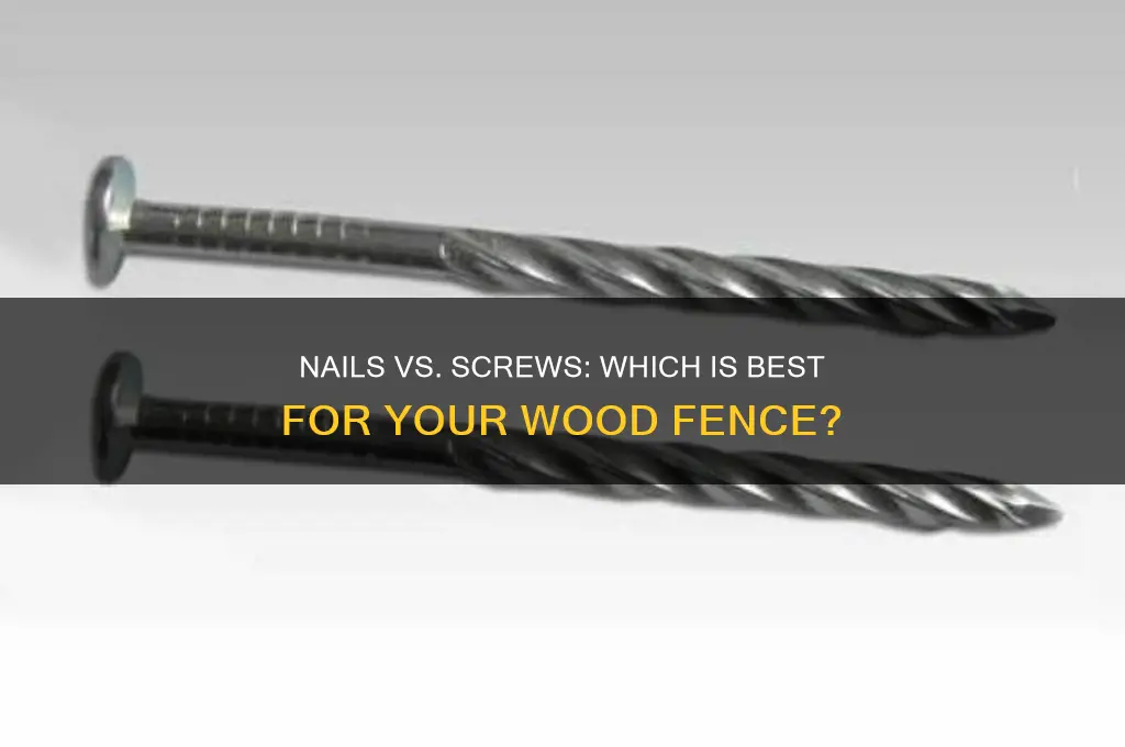 Nails Vs. Screws: Which Is Best For Your Wood Fence? | Nailicy