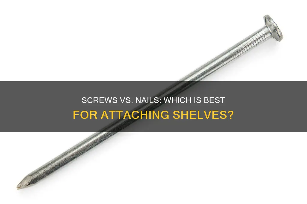 Screws Vs. Nails: Which Is Best For Attaching Shelves? | Nailicy