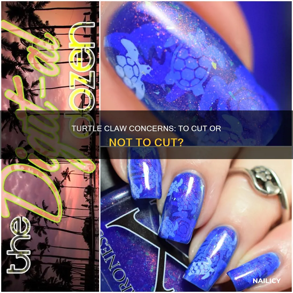 Turtle Claw Concerns: To Cut Or Not To Cut? | Nailicy