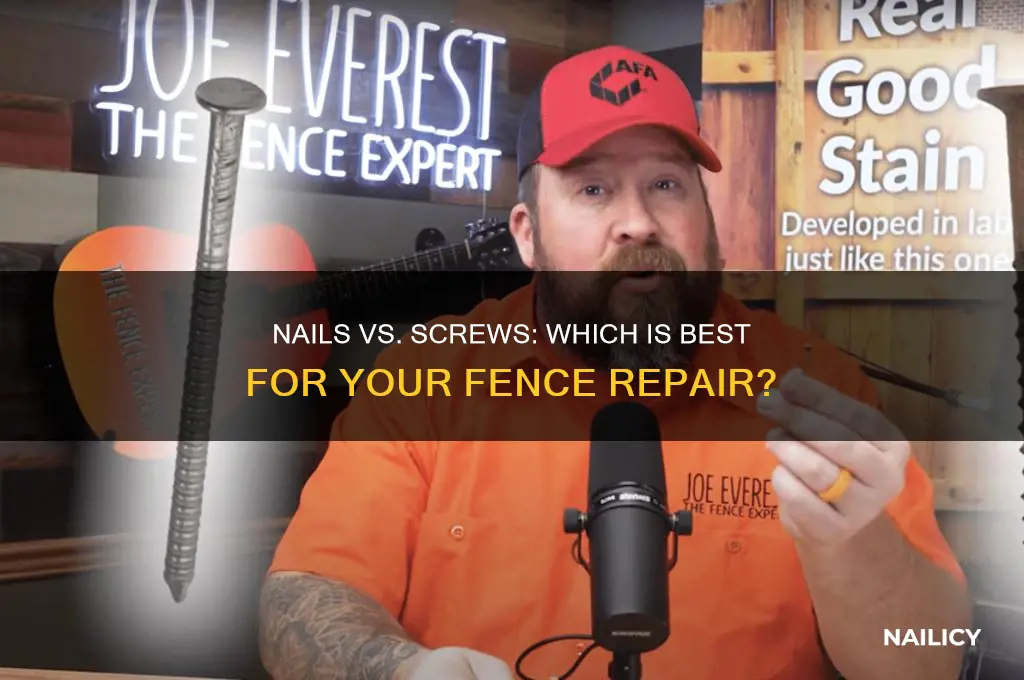 Nails Vs. Screws: Which Is Best For Your Fence Repair? | Nailicy