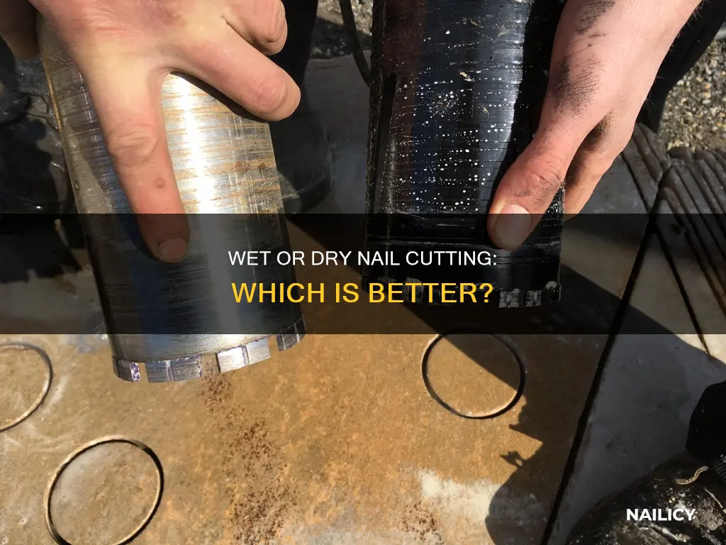 Wet Or Dry Nail Cutting: Which Is Better? | Nailicy