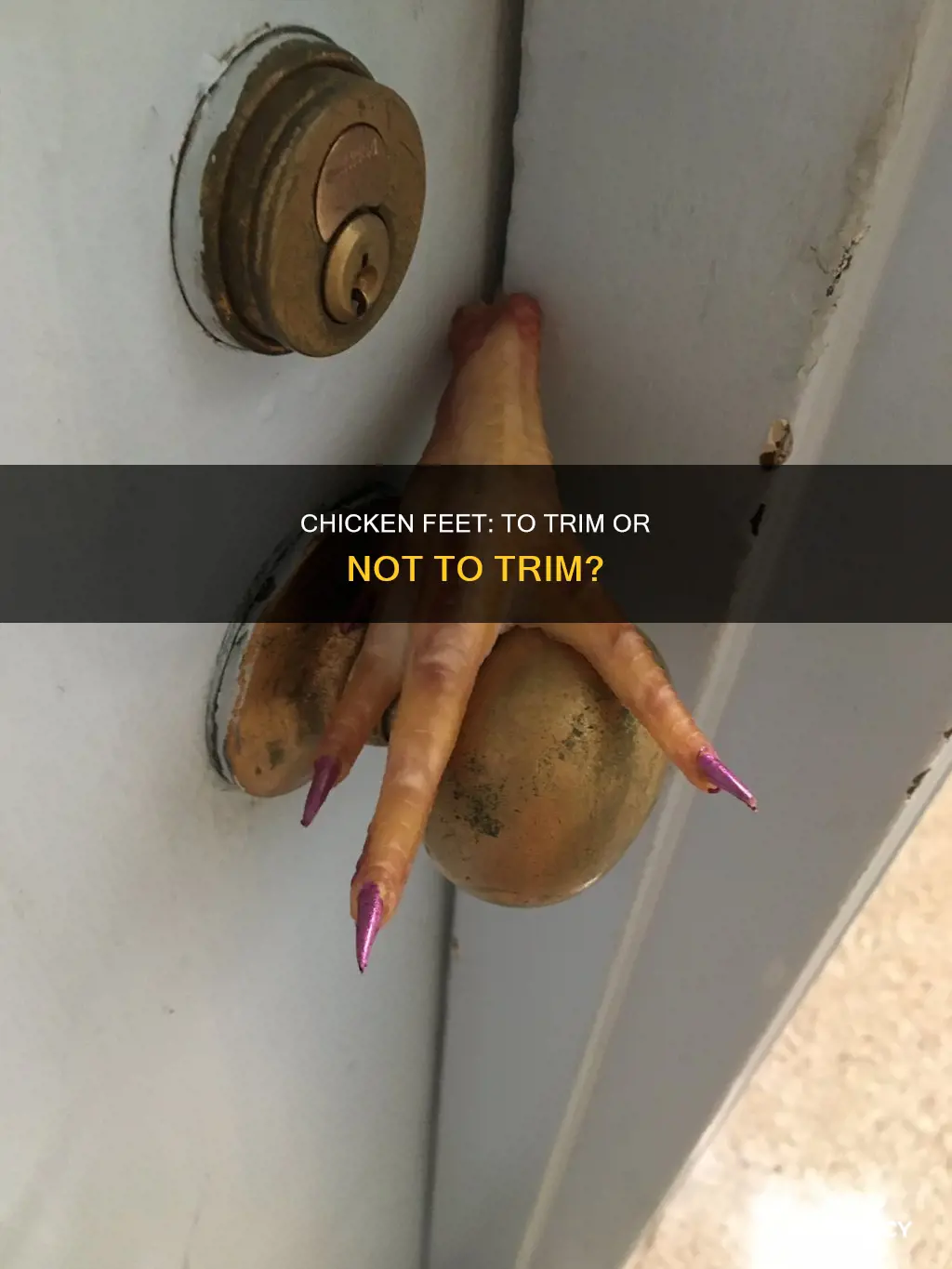 Chicken Feet: To Trim Or Not To Trim? | Nailicy