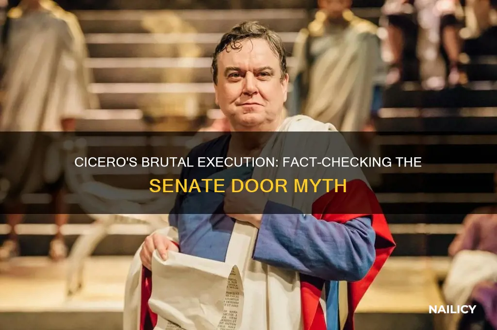 Cicero's Brutal Execution: Fact-Checking The Senate Door Myth | Nailicy