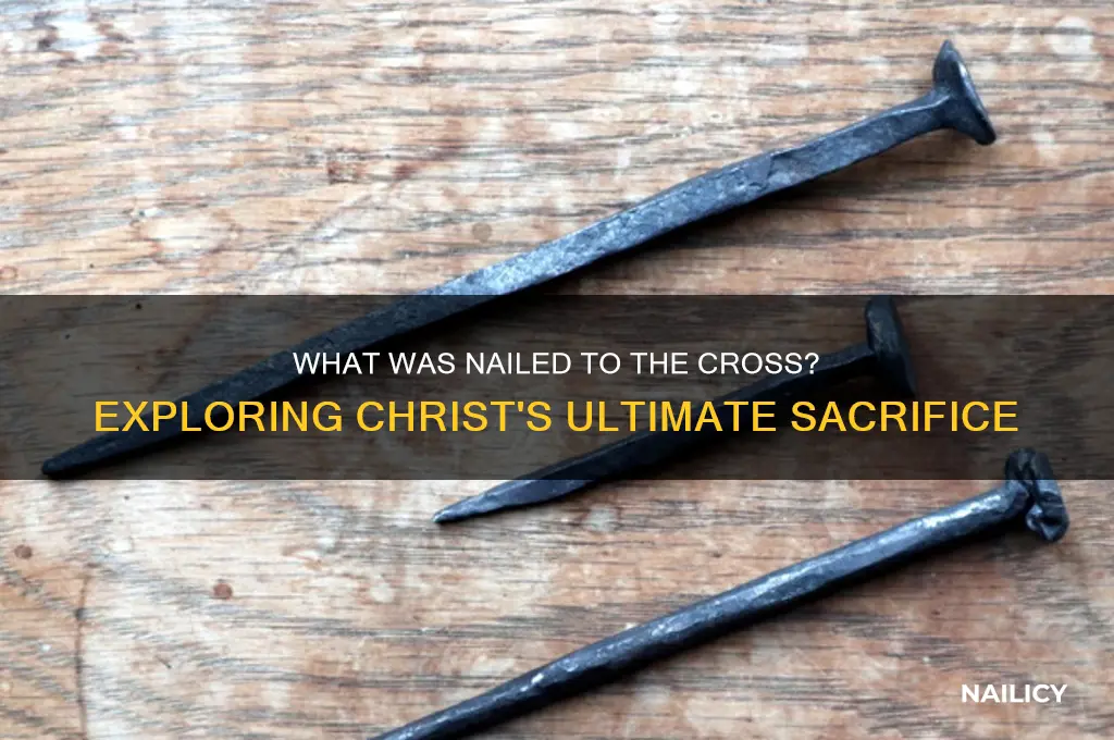 What Was Nailed To The Cross? Exploring Christ's Ultimate Sacrifice ...