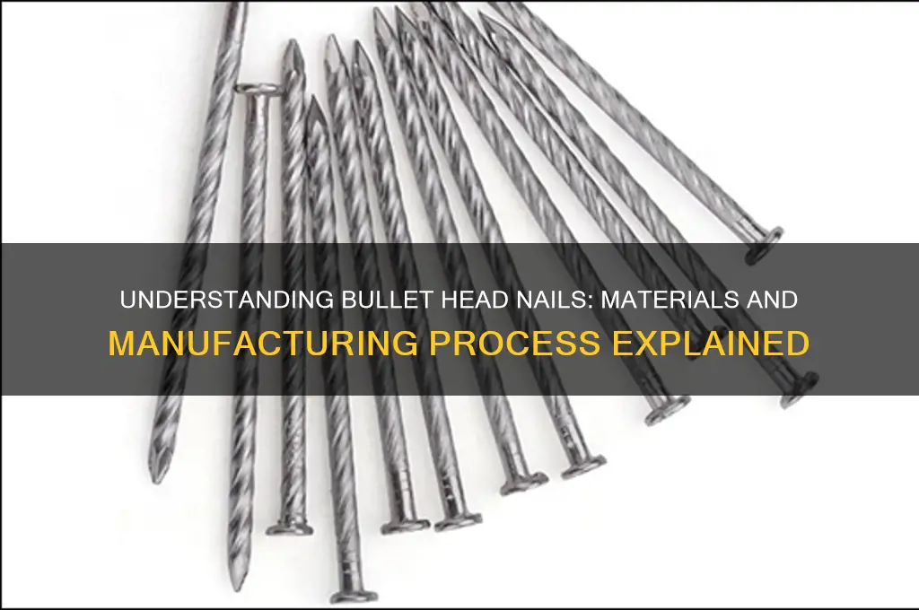 Understanding Bullet Head Nails: Materials And Manufacturing Process ...