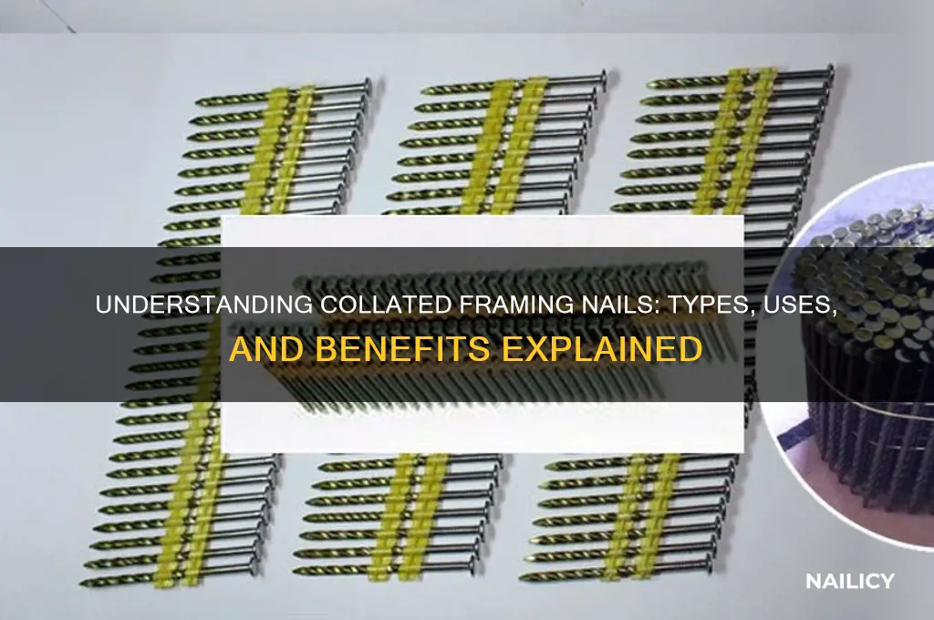 Understanding Collated Framing Nails: Types, Uses, And Benefits ...