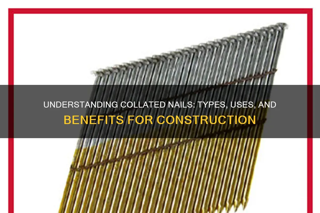 Understanding Collated Nails: Types, Uses, And Benefits For ...
