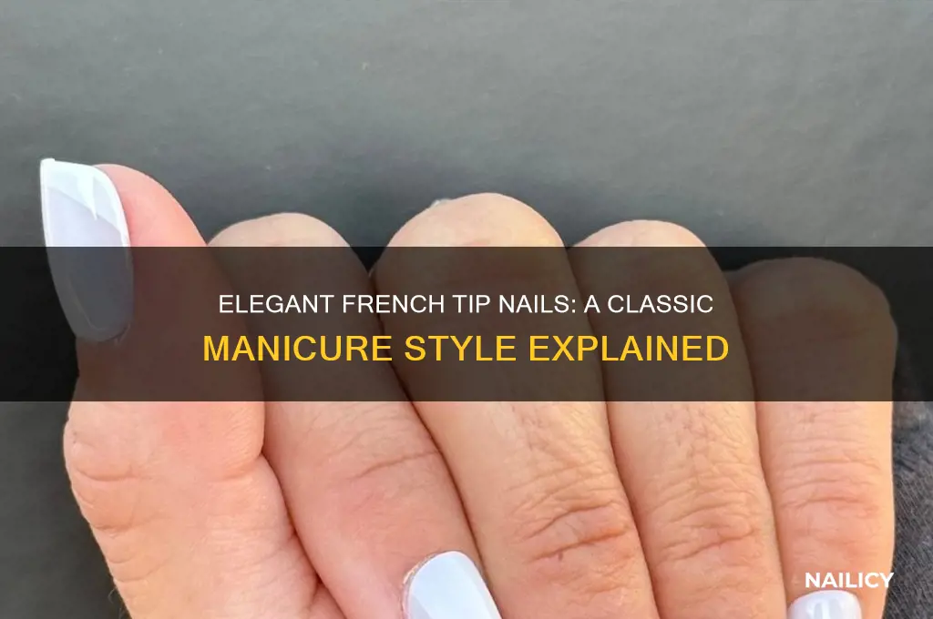 Elegant French Tip Nails: A Classic Manicure Style Explained | Nailicy