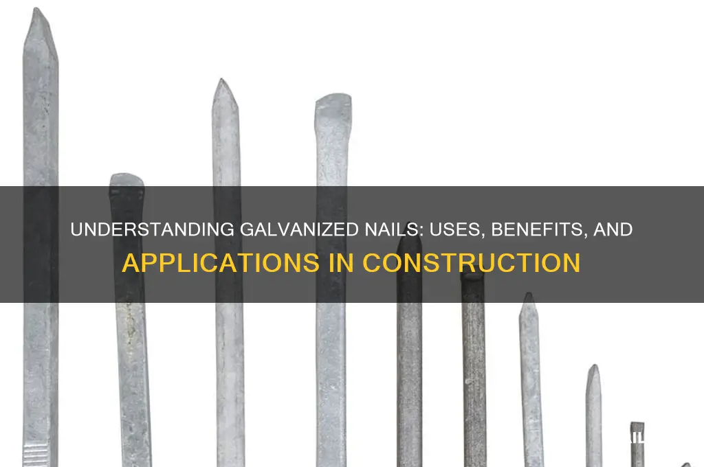 Understanding Galvanized Nails: Uses, Benefits, And Applications In ...