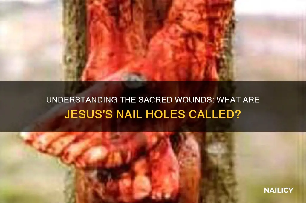 Understanding The Sacred Wounds: What Are Jesus's Nail Holes Called ...