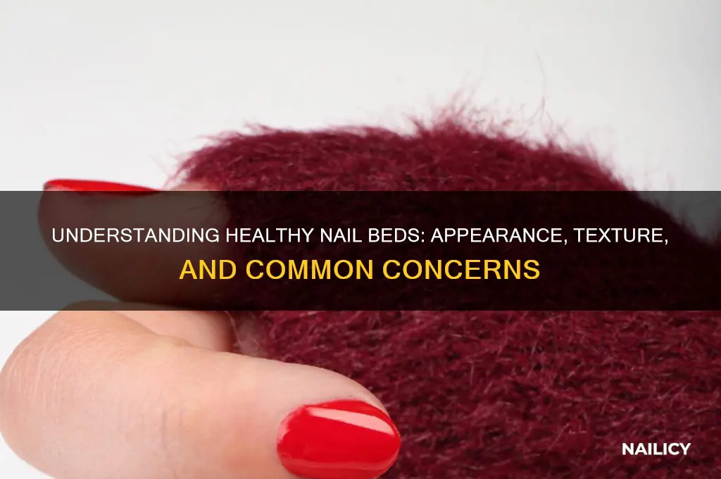 Understanding Healthy Nail Beds: Appearance, Texture, And Common ...