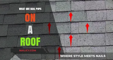 Understanding Nail Pops On Roofs: Causes, Risks, And Repair Solutions ...