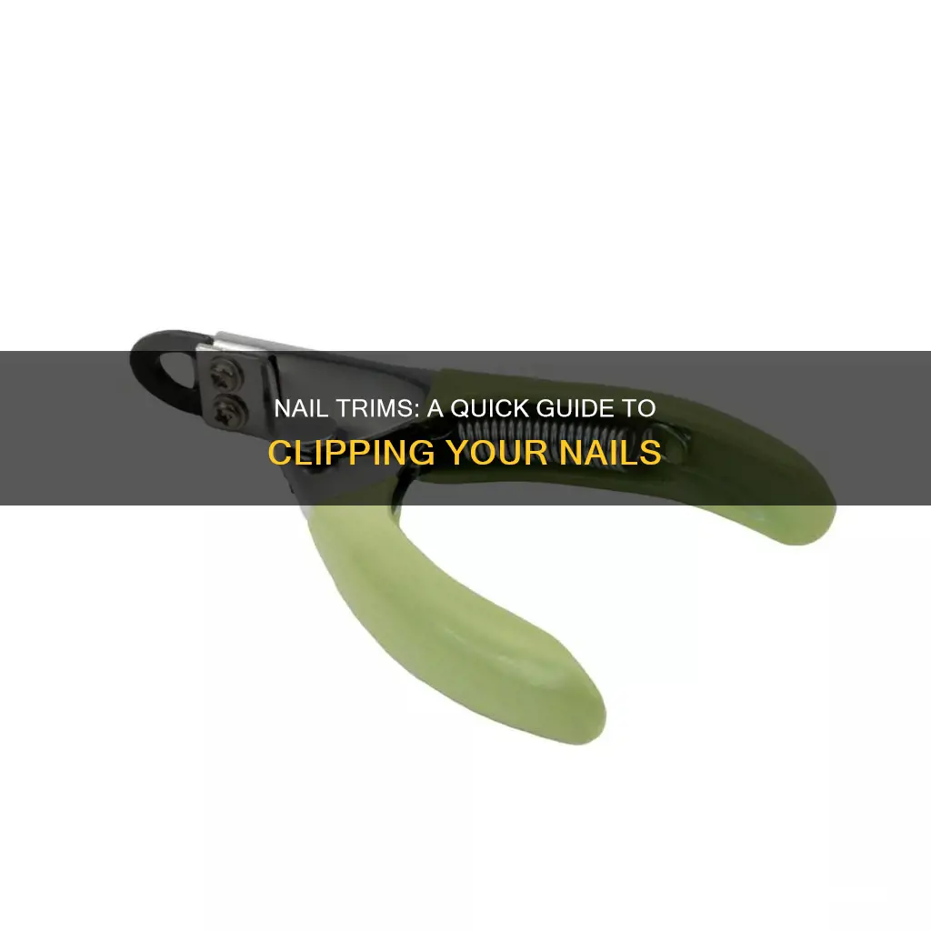 Nail Trims: A Quick Guide To Clipping Your Nails | Nailicy