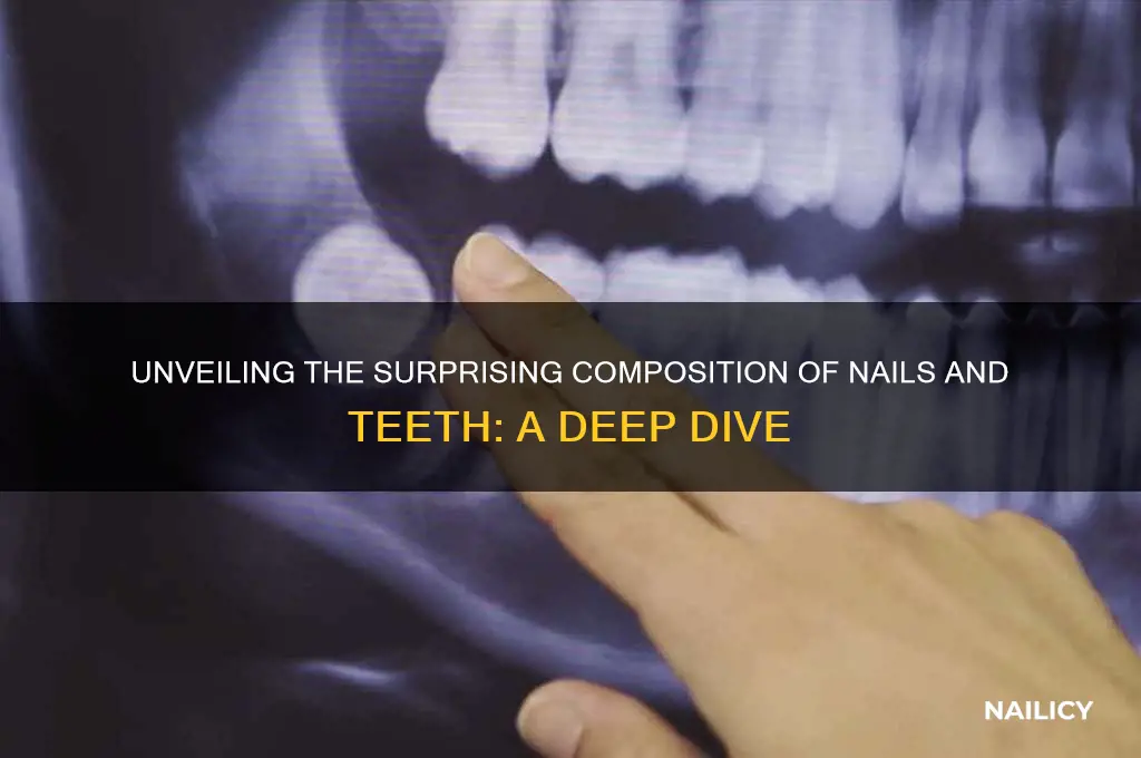 Unveiling The Surprising Composition Of Nails And Teeth: A Deep Dive ...