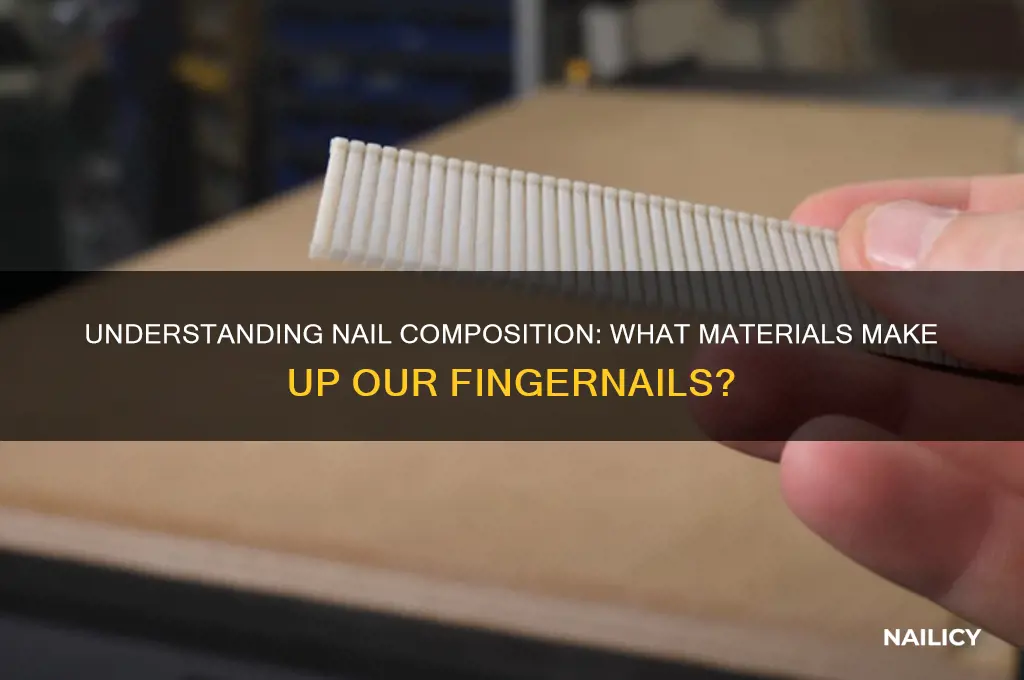 Understanding Nail Composition: What Materials Make Up Our Fingernails ...