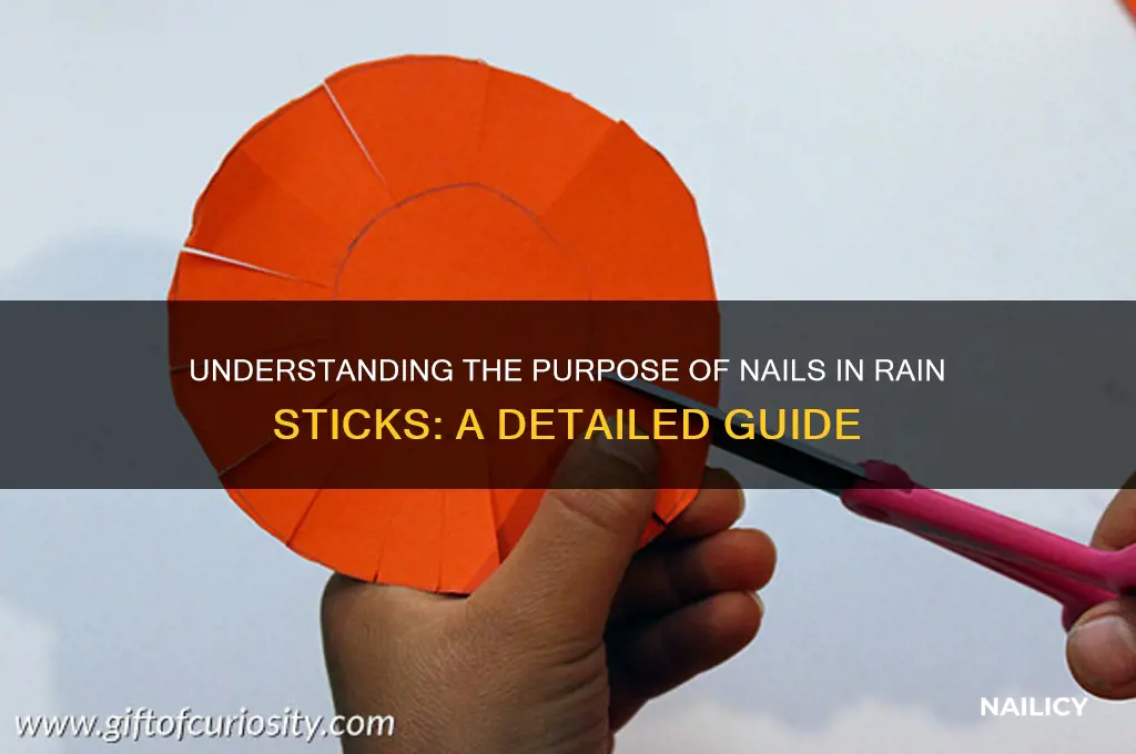 Understanding The Purpose Of Nails In Rain Sticks: A Detailed Guide ...