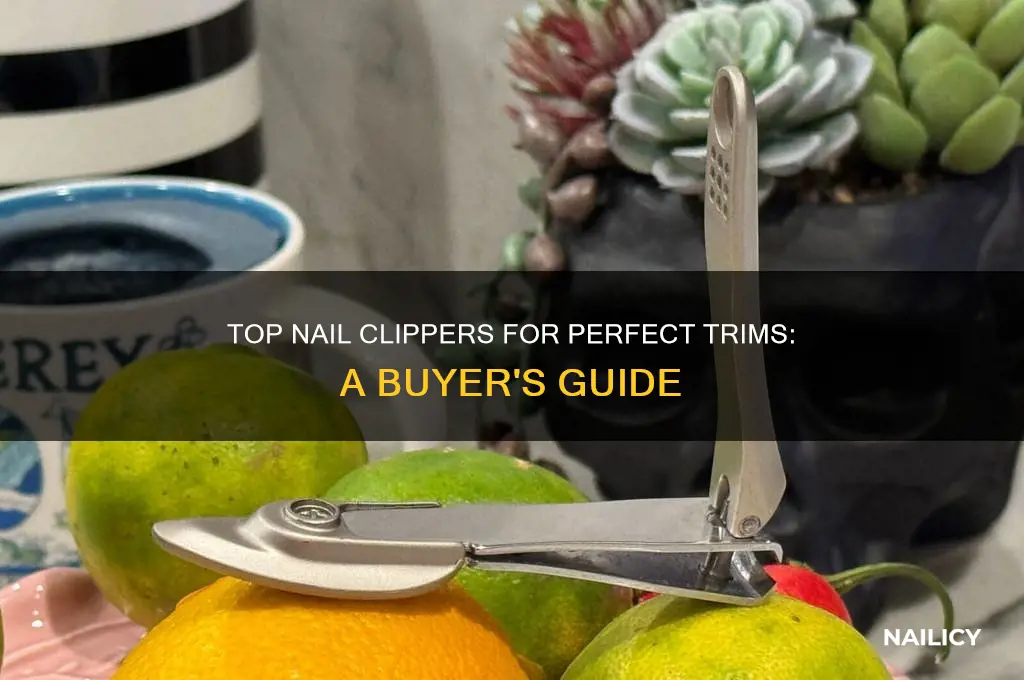 Top Nail Clippers For Perfect Trims: A Buyer's Guide | Nailicy