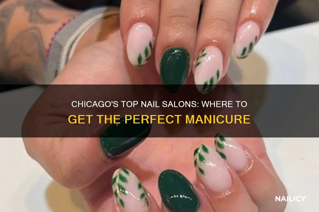 Chicago's Top Nail Salons: Where To Get The Perfect Manicure | Nailicy