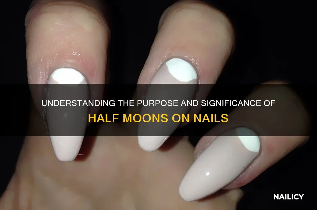 Understanding The Purpose And Significance Of Half Moons On Nails | Nailicy
