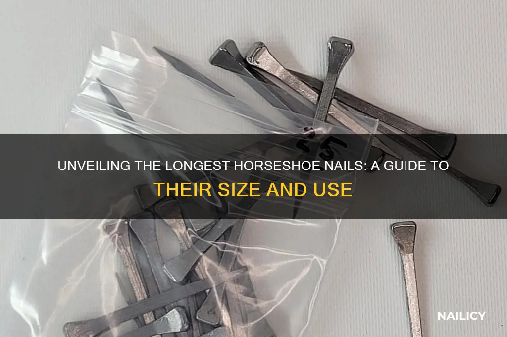 Unveiling The Longest Horseshoe Nails: A Guide To Their Size And Use ...