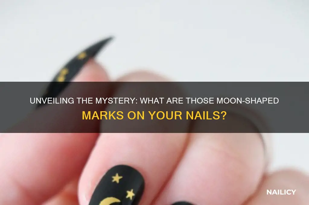 Unveiling The Mystery: What Are Those Moon-Shaped Marks On Your Nails ...
