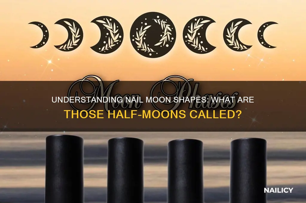 Understanding Nail Moon Shapes: What Are Those Half-Moons Called? | Nailicy