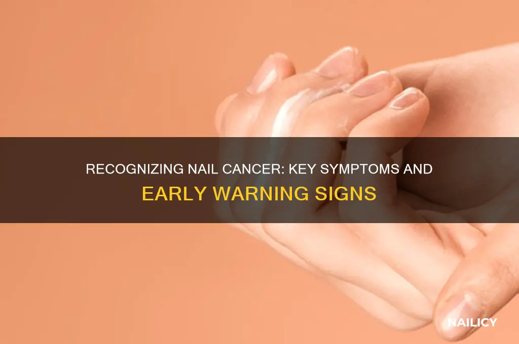 Recognizing Nail Cancer: Key Symptoms And Early Warning Signs | Nailicy