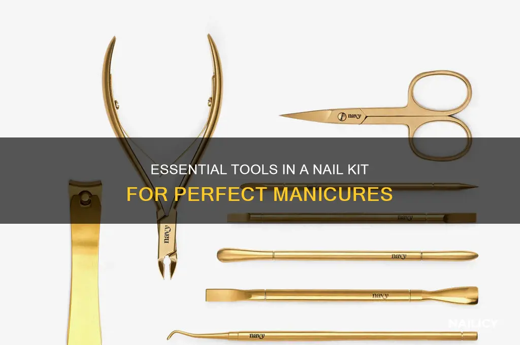 Essential Tools In A Nail Kit For Perfect Manicures | Nailicy
