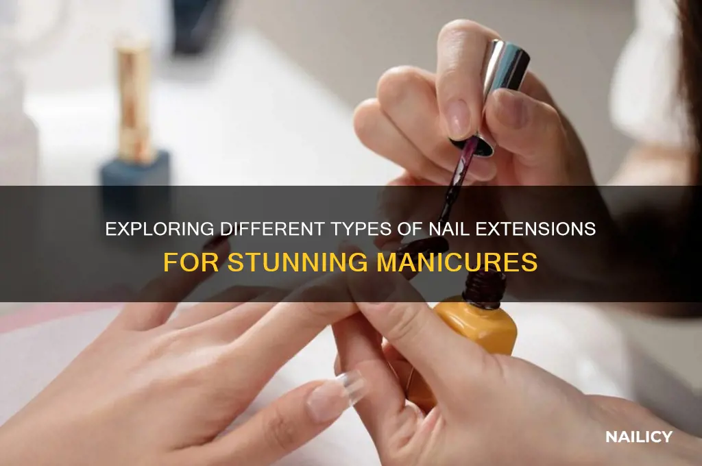 Exploring Different Types Of Nail Extensions For Stunning Manicures ...