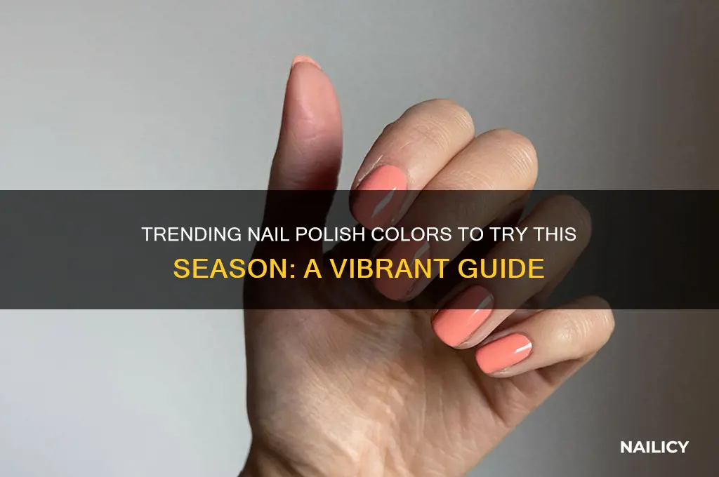 Trending Nail Polish Colors To Try This Season: A Vibrant Guide | Nailicy